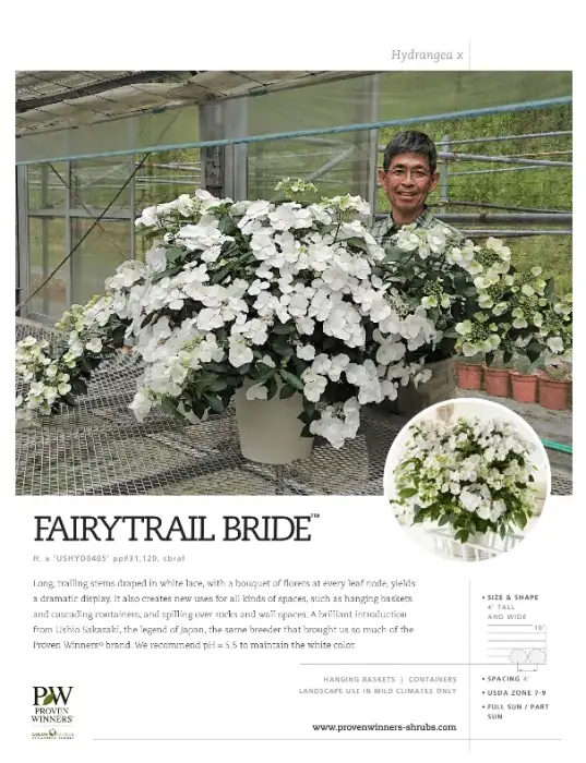Fairytrail Bride™ Hydrangea spec sheet - Spring Meadow Nursery