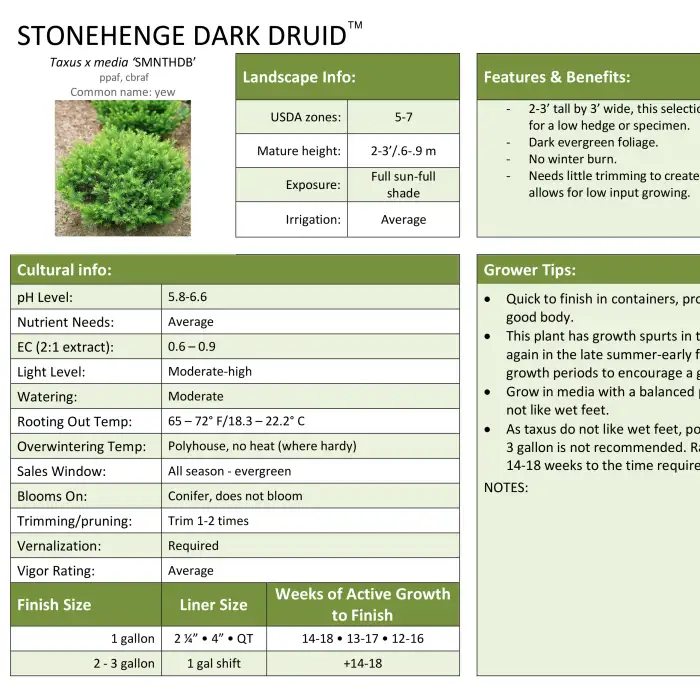 Stonehenge Dark Druid Taxus Professional Grower Sheet - Spring Meadow ...