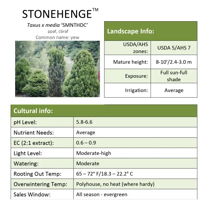 Stonehenge® Taxus Grower Sheet - Spring Meadow Nursery